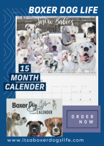 Official Boxer Dog Life Calendar - ItsaBoxerDogsLife